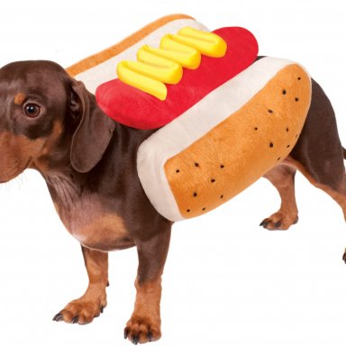 English - Review - Nixware.cc - Enjoy perfect performance